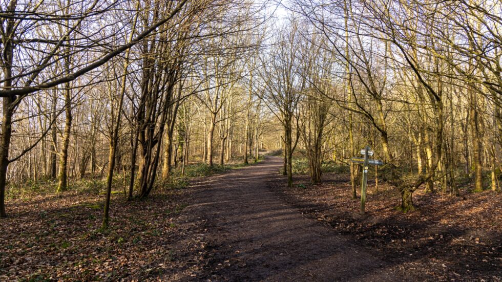 The Trail | Friends of the Ridgeway